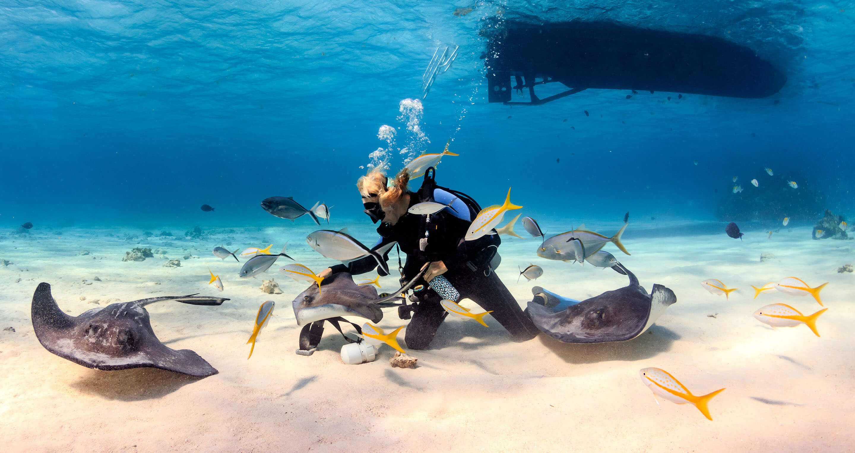 PADI Boat Diver Specialty Course | Kona Honu Divers