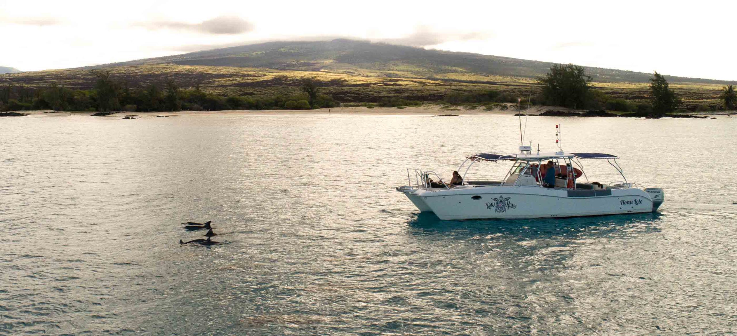 Discounts & Coupons for Kona Honu Divers Charters