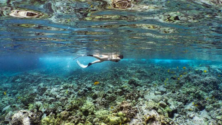 Must See Snorkeling Spots in Kona, Hawaii